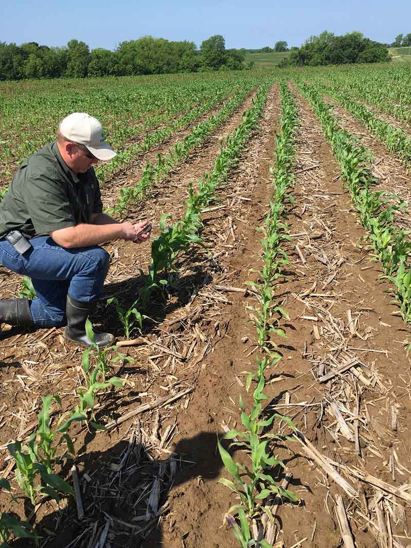 Channel Seed - AgriVision Solutions LLC